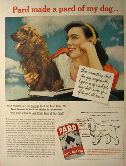 1945 Vintage Pard Dog Food Ad ~ Cocker Spaniel, Vintage Ads (Misc)