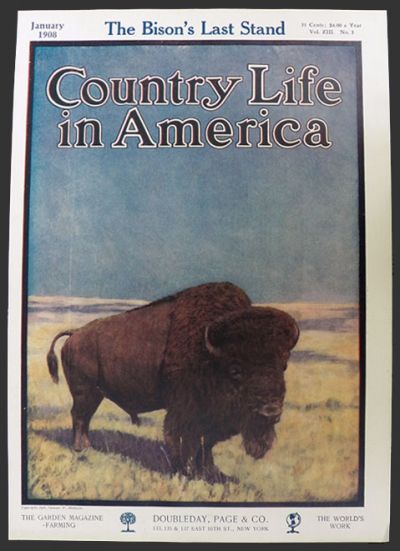 1908 Country Life in America Cover ~ Bison, Vintage Magazine Covers
