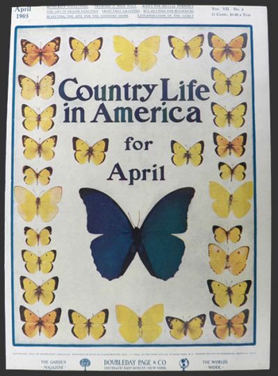 1905 Country Life in America Cover ~ Butterflies, Vintage Magazine Covers