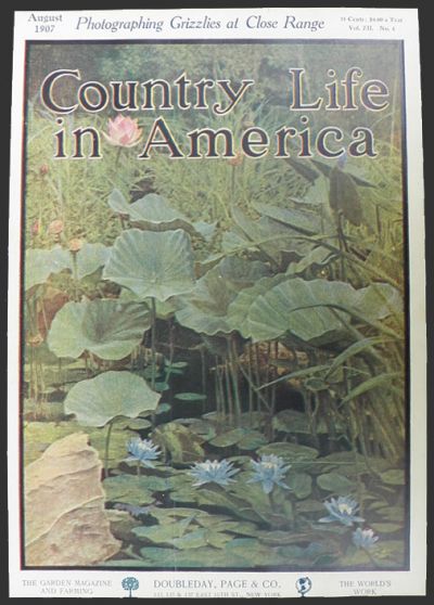 1907 Country Life in America Cover ~ Lotus & Water Lilies, Vintage ...