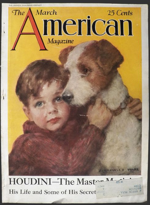 1928 The American Magazine Cover ~ Boy With Jack Russell Dog, Vintage ...