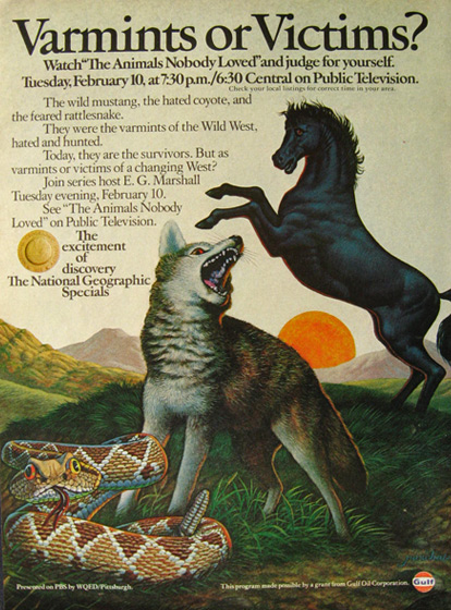 1976 "The Animals Nobody Loved" PBS Show Promo Ad ~ National Geographic ...