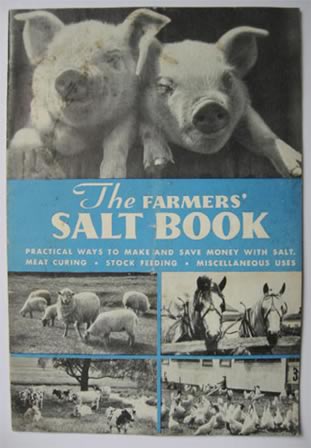 The Salt Book ~ Curing Meat, Recipes, Other Uses, Vintage Recipe Booklets