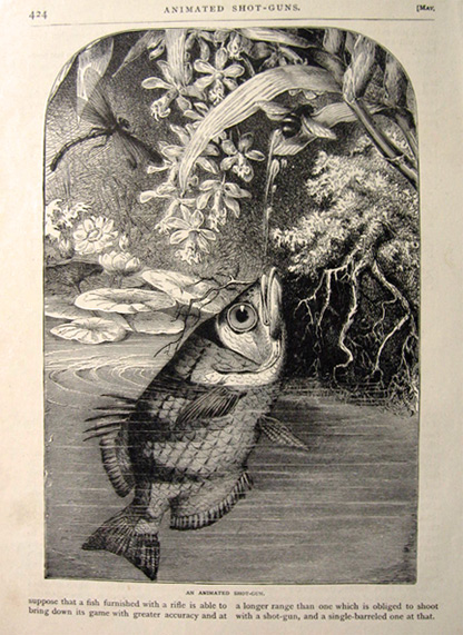 1876 Archer Fish Antique Engraving Print & Article, Natural History ...